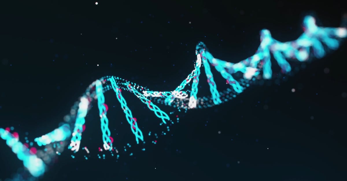 Atheist Alliance International - a positive voice for atheism and ...